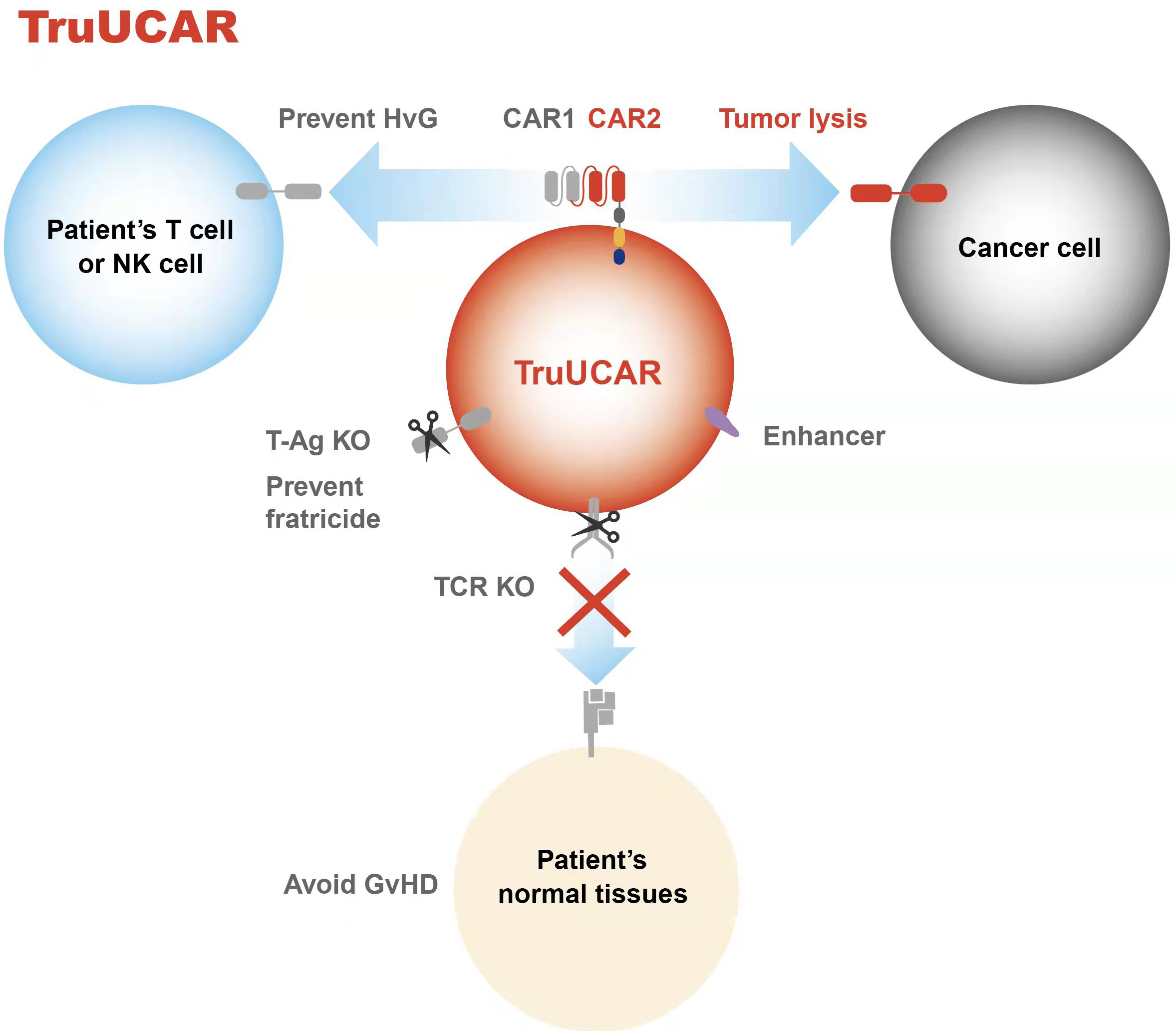 TruUCAR | Gracell